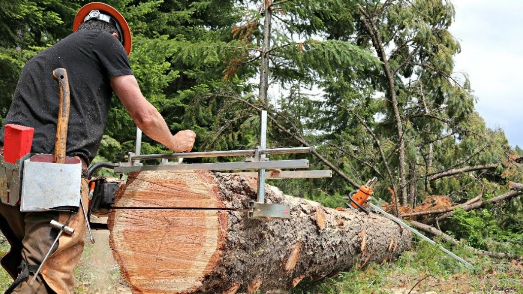 How To Use A Chainsaw Mill: A Step-by-Step Guide For Woodworking ...